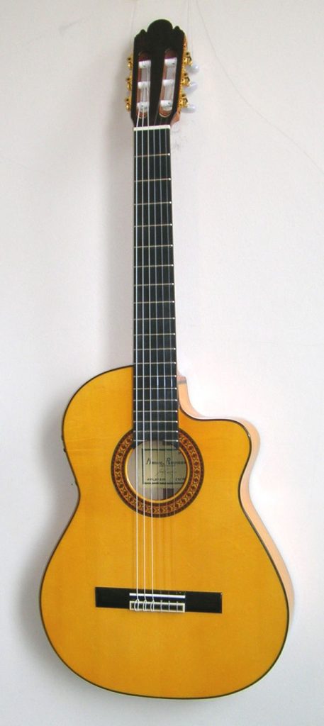 Raimundo 646E Shallow Body Flamenco Electro